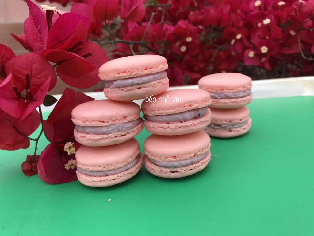 Bánh Macarons | 2liv3